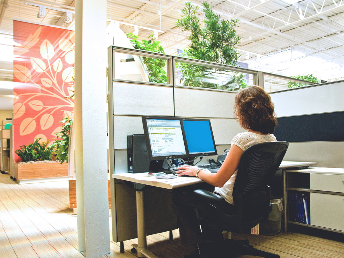 Creating a Healthy Call Centre Environment through Furniture – NPS ...